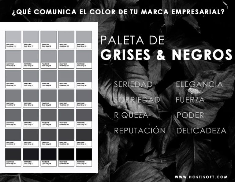 El color en tu marca corporativa