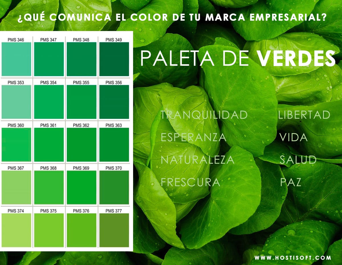 El color en tu marca corporativa